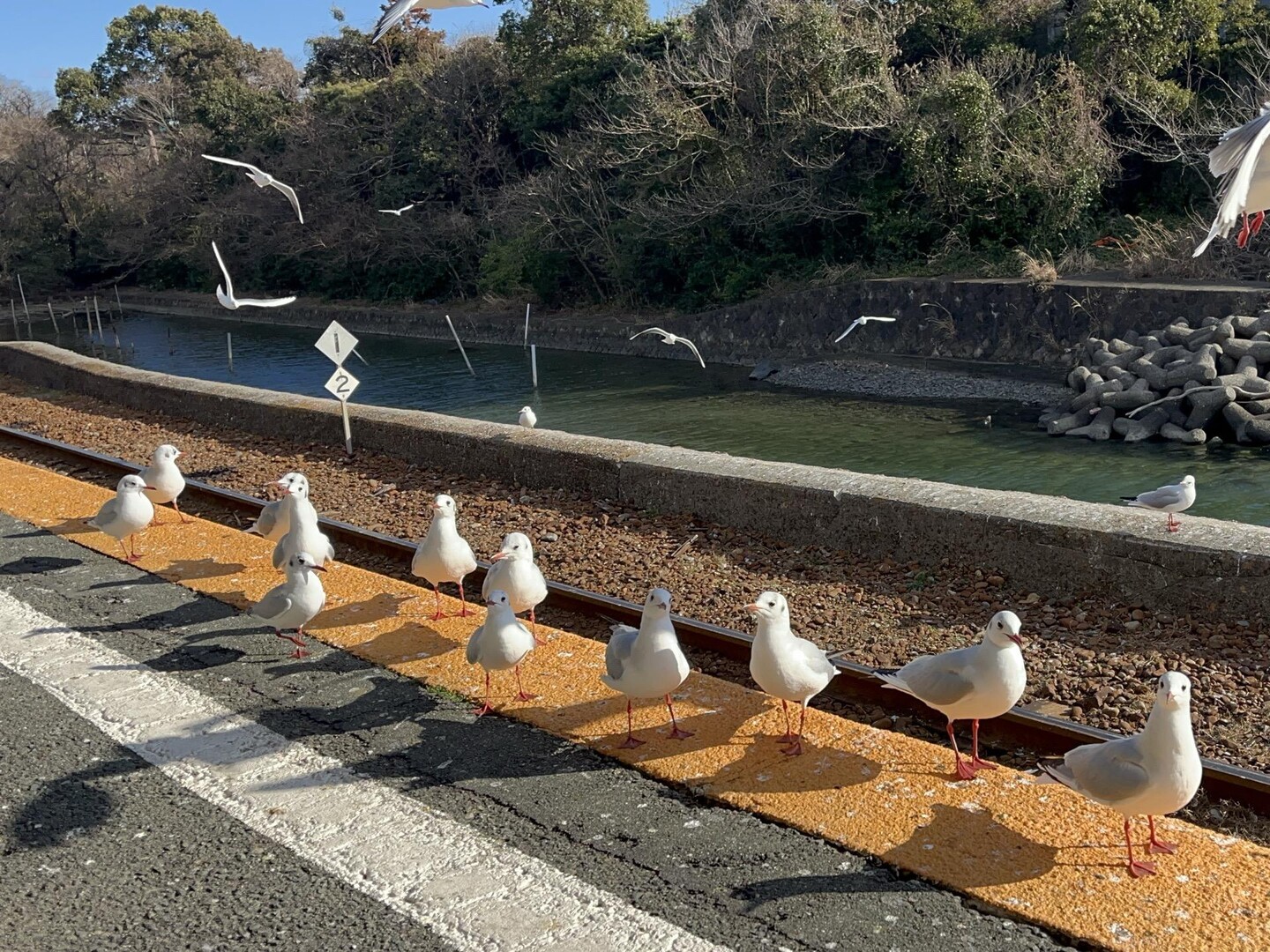 三ヶ日高山 展望台 / yuriさんの姫街道（気賀宿・三ヶ日宿・嵩山宿）の活動データ | YAMAP / ヤマップ