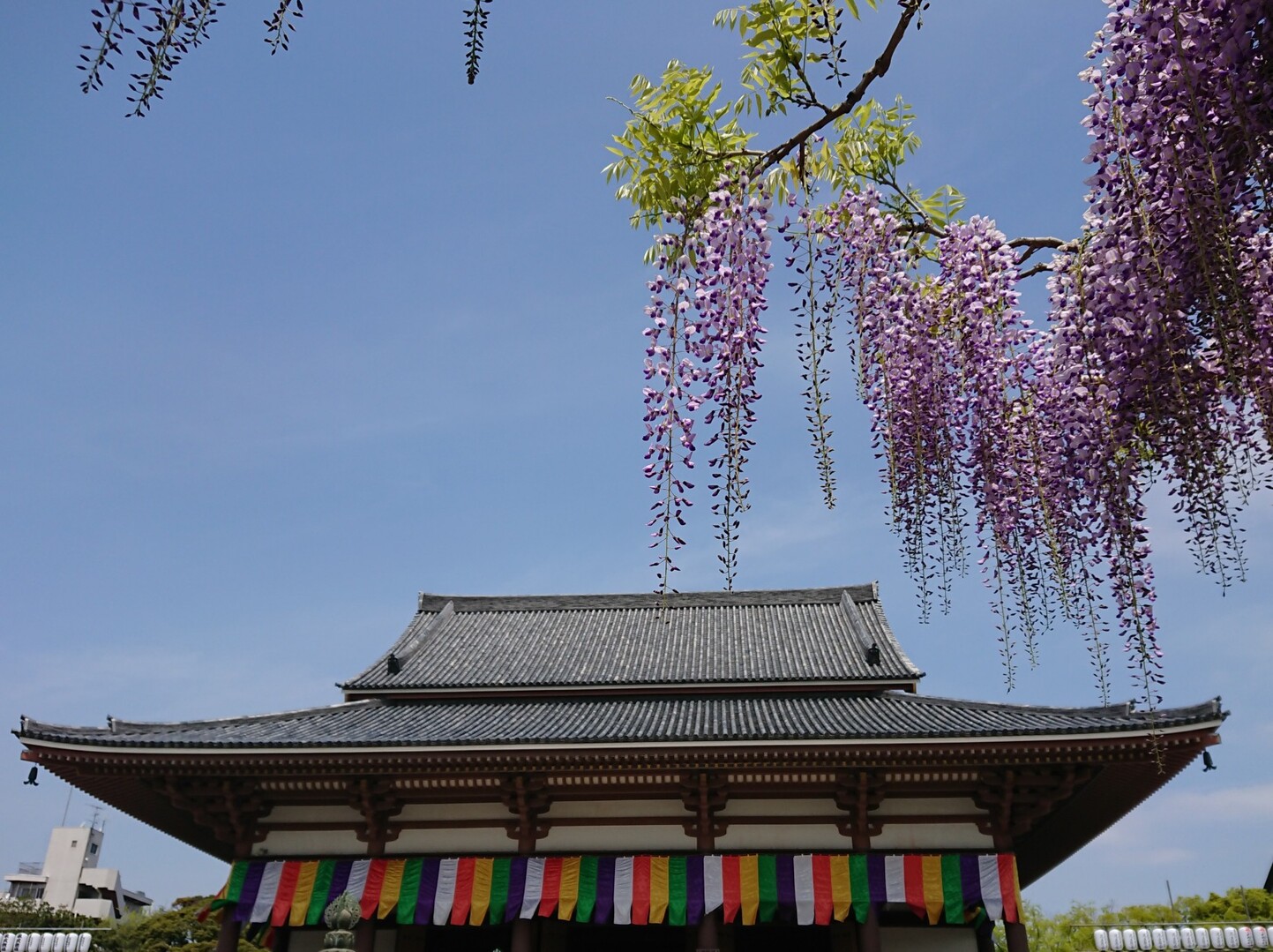 【日光街道】北千住→西新井☀️〈8.3km〉 / さんだーすさんの東京都23区 北エリアの活動データ | YAMAP / ヤマップ