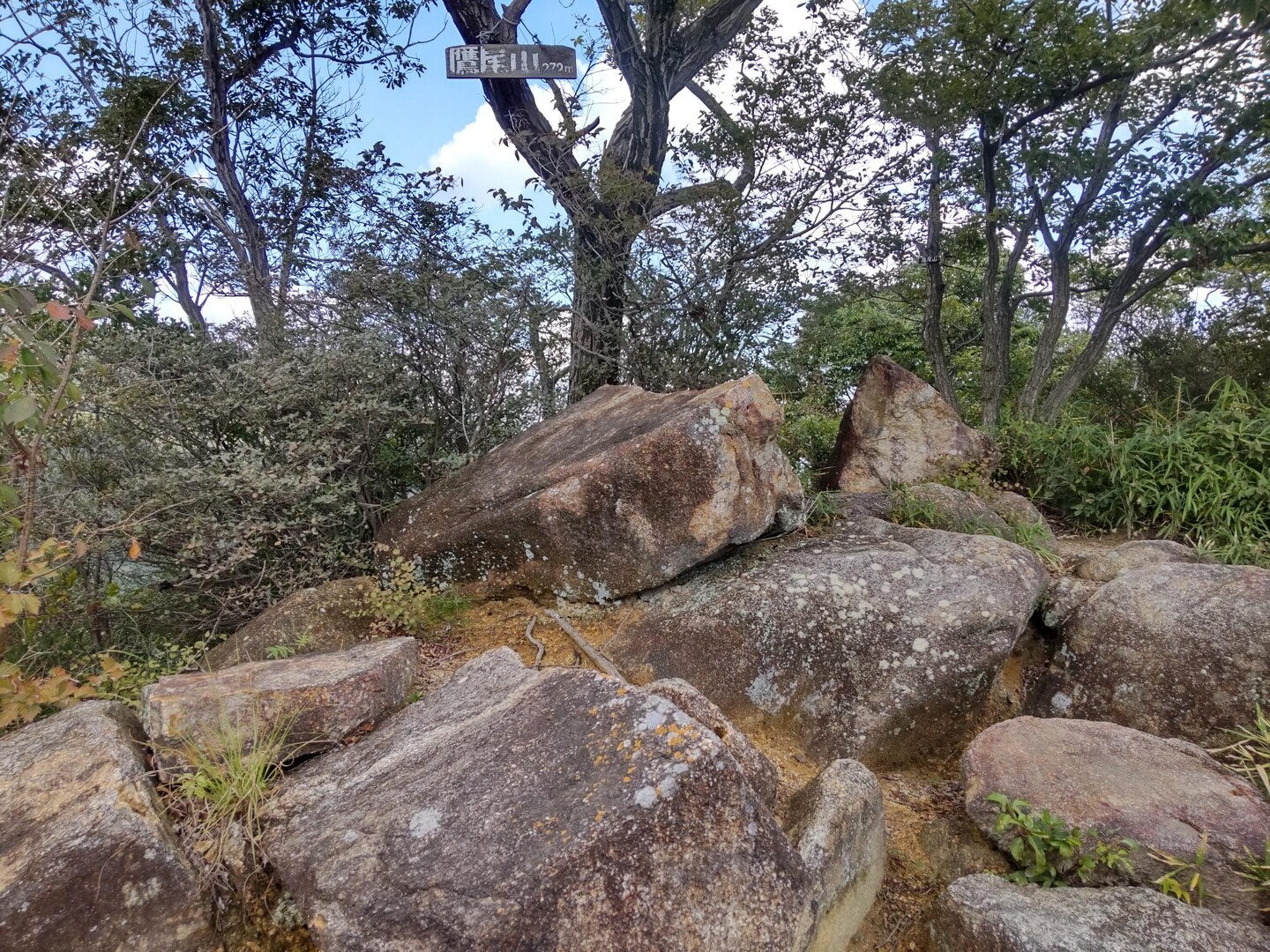 miyukyさんの投稿したフィールドメモ | YAMAP / ヤマップ