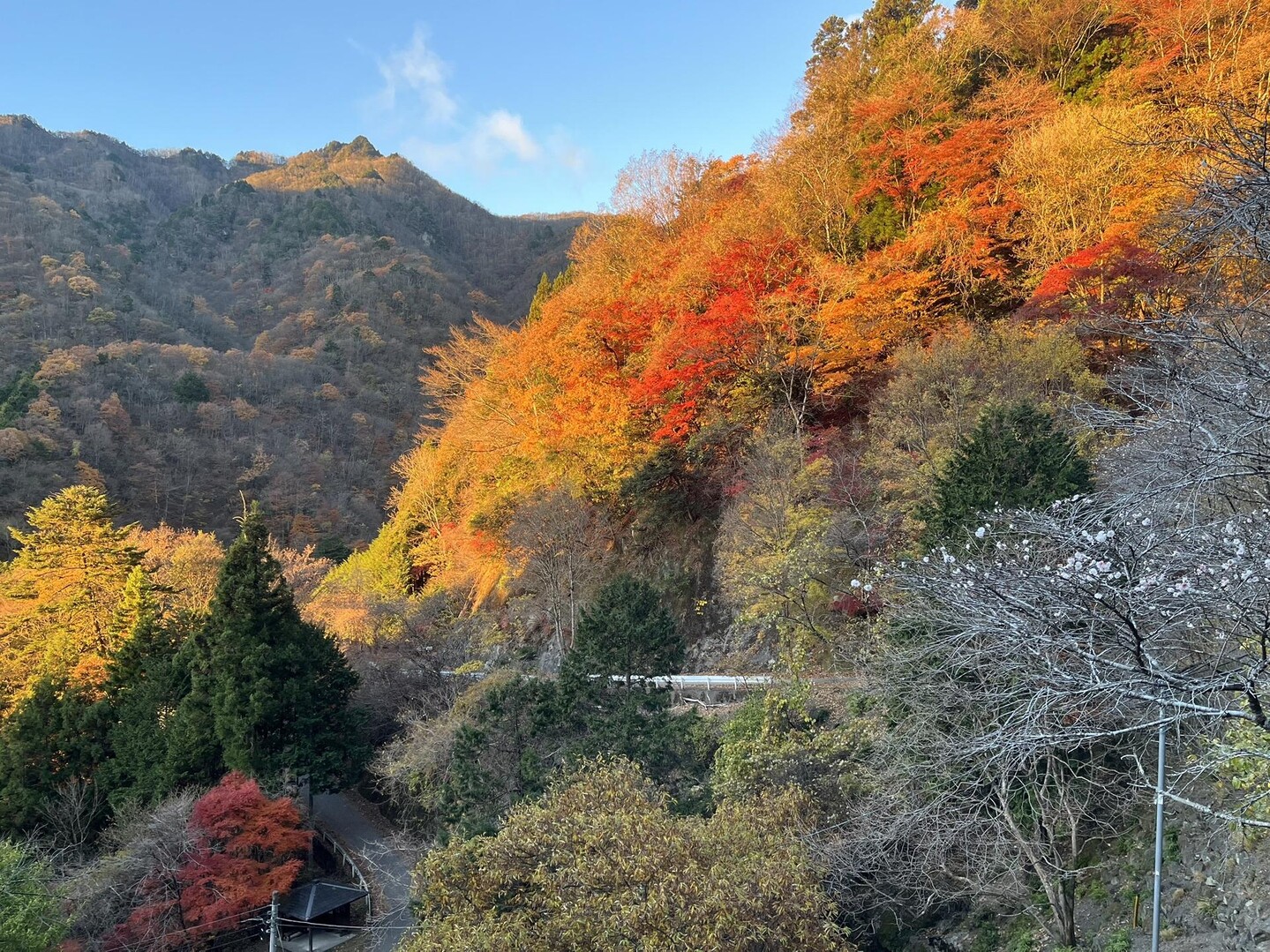 関東3日目 秩父 両神山 / seiさんの両神山・諏訪山・二子山の活動データ | YAMAP / ヤマップ