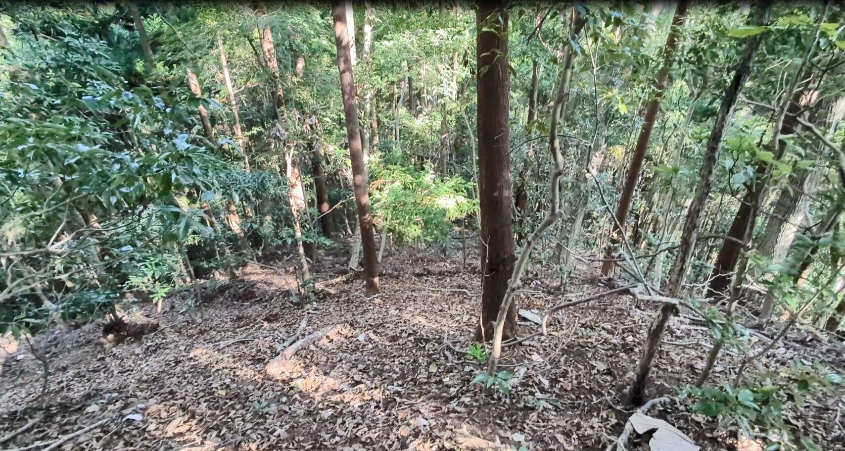 ㉝砕石場劇場！ 超マイナーピークP204＆P325ハントが面白い！ / えす隊長さんの大山の活動データ | YAMAP / ヤマップ