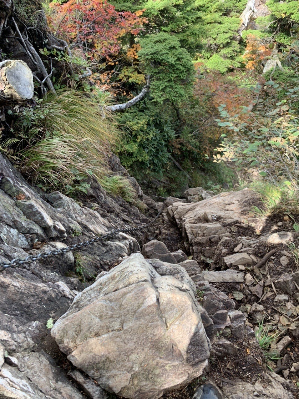 nkakさんの投稿したフィールドメモ | YAMAP / ヤマップ