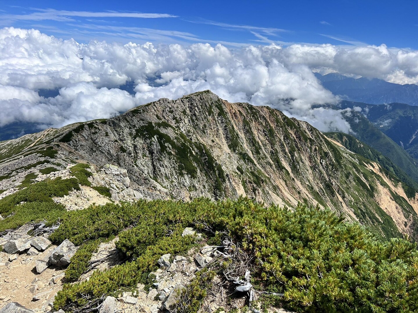 太郎山・薬師岳・北薬師岳・スゴノ頭・越中沢岳・鳶山・獅子岳・龍王岳 / delta2\BIG BOSSさんの水晶岳・薬師岳・黒部五郎岳・鷲羽岳・三俣蓮華岳・湯俣の活動データ | YAMAP ...