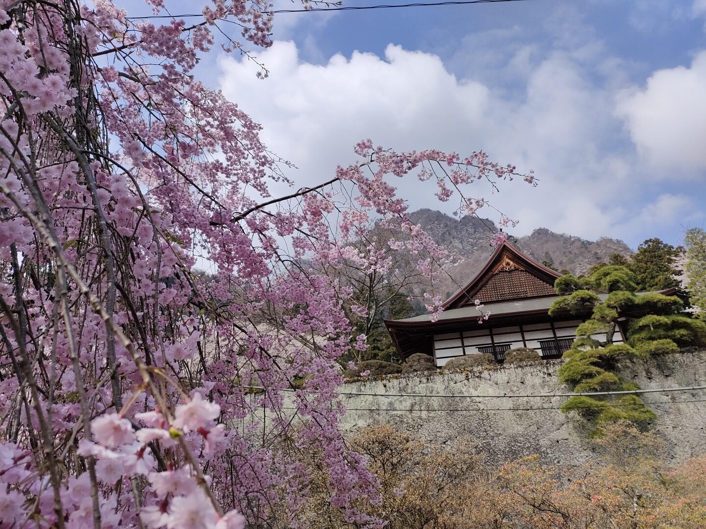 妙義山・天狗岳・相馬岳-2023-04-02 / yanさんの妙義山・天狗岳・相馬岳の活動データ | YAMAP / ヤマップ