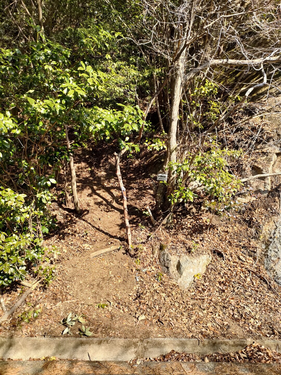 jiyoさんの投稿したフィールドメモ | YAMAP / ヤマップ