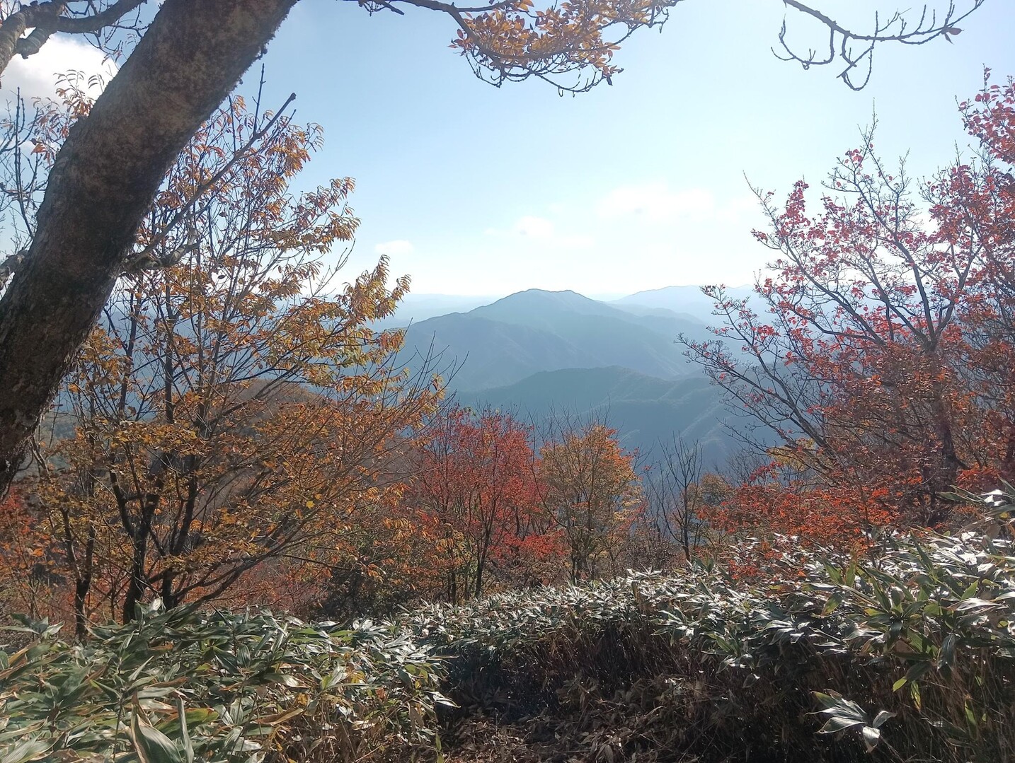 小五郎山 / Mitz@さんの小五郎山の活動データ | YAMAP / ヤマップ