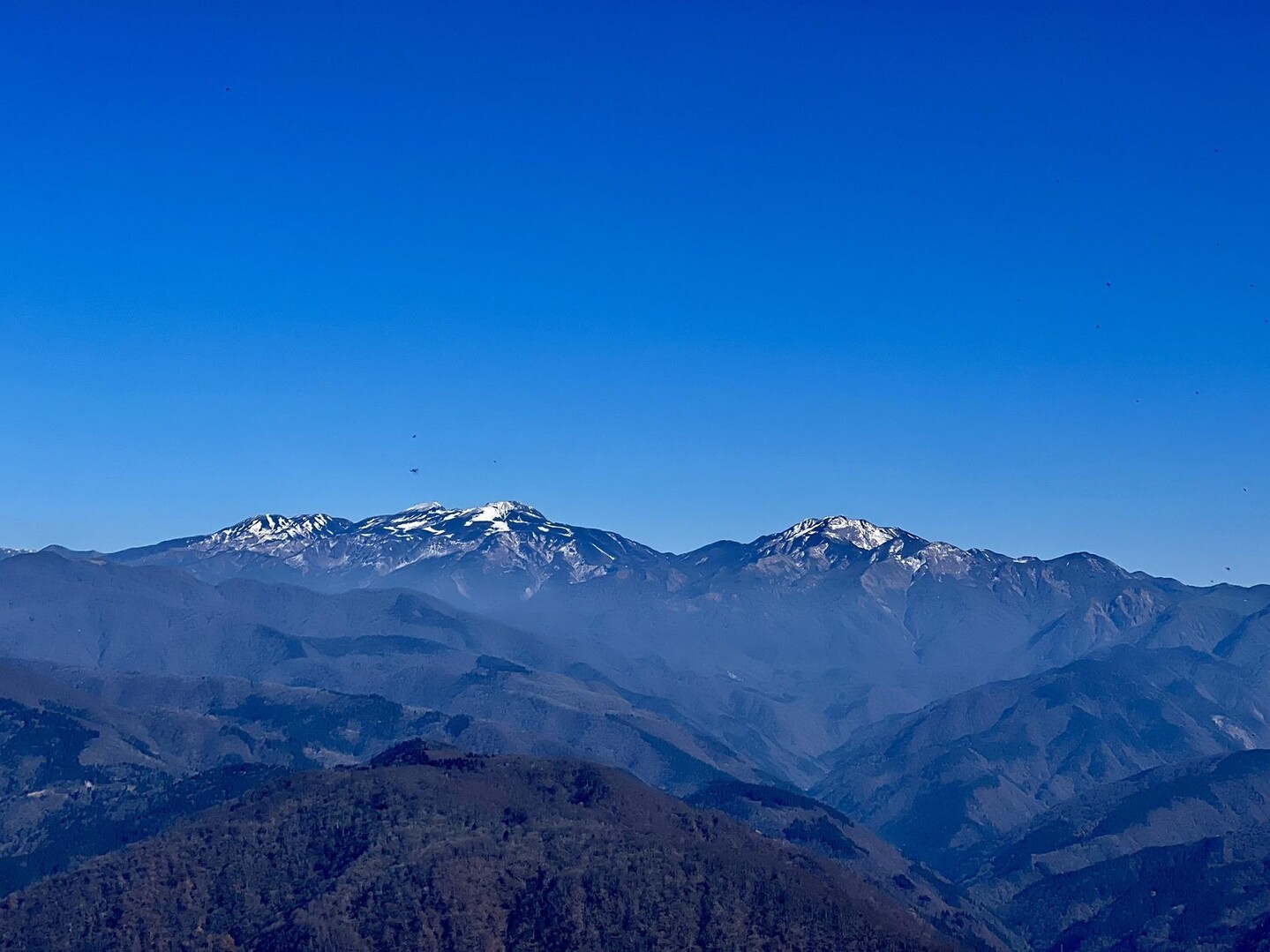 今年二座目の百名山荒島岳 / moboさんの荒島岳の活動データ | YAMAP / ヤマップ