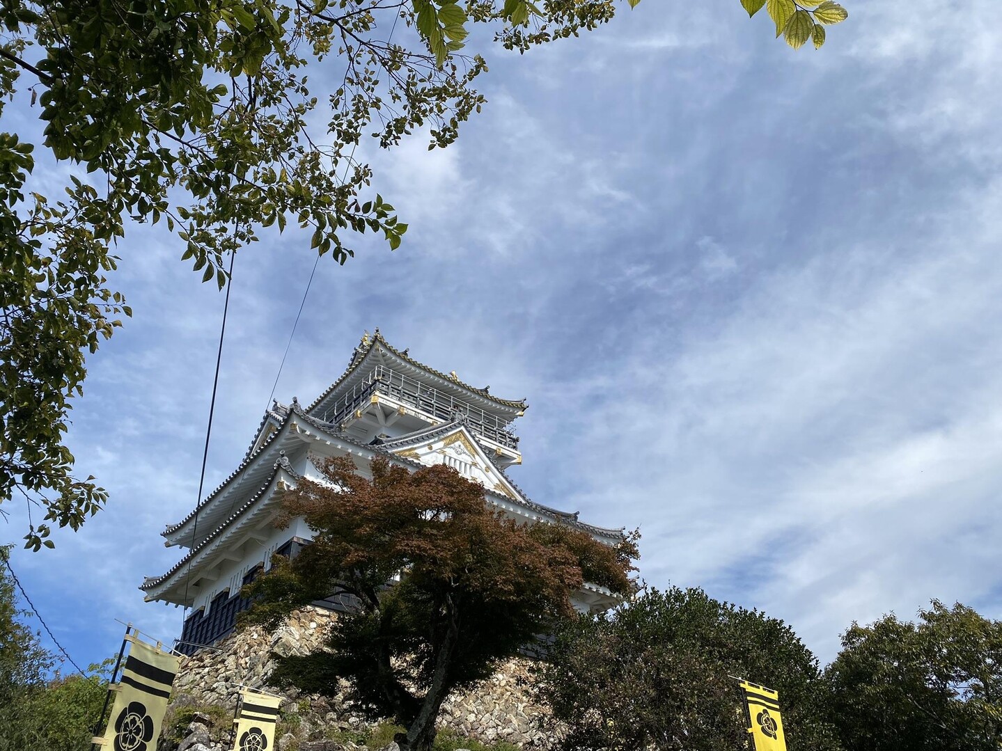 金華山 / R320さんの金華山・洞山・舟伏山の活動データ | YAMAP / ヤマップ