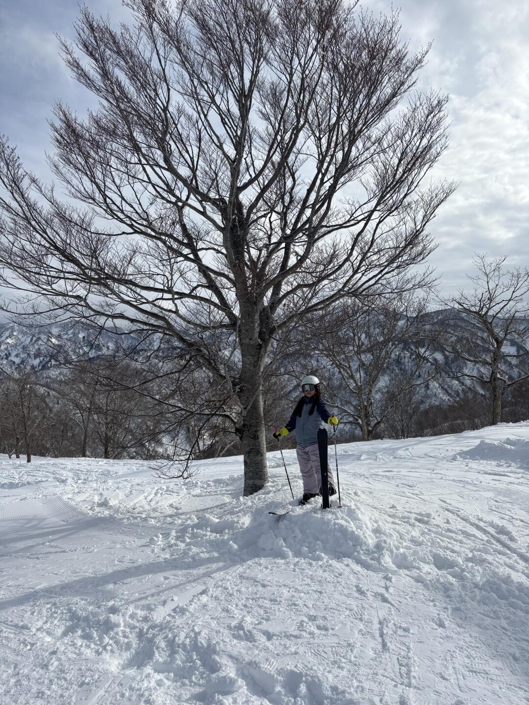 セイモアスキー場 DAYS18 / NOBさんの奥獅子吼山・口三方岳・烏帽子山の活動データ | YAMAP / ヤマップ