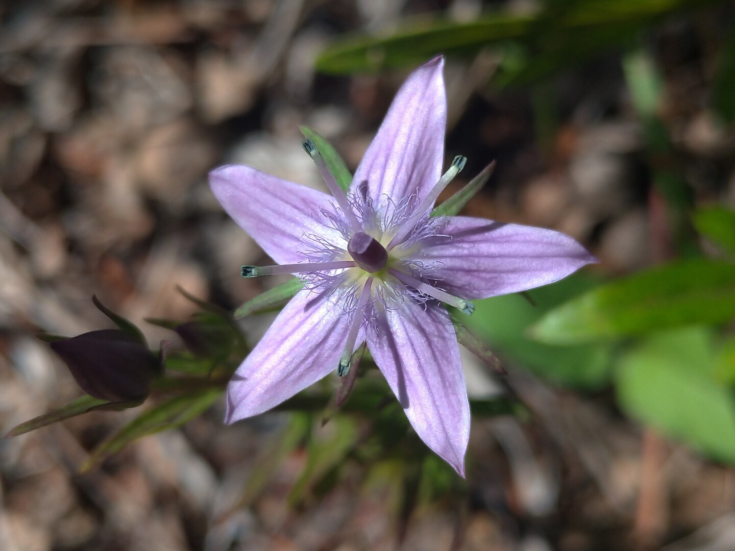 ☆futa☆のページ | YAMAP / ヤマップ