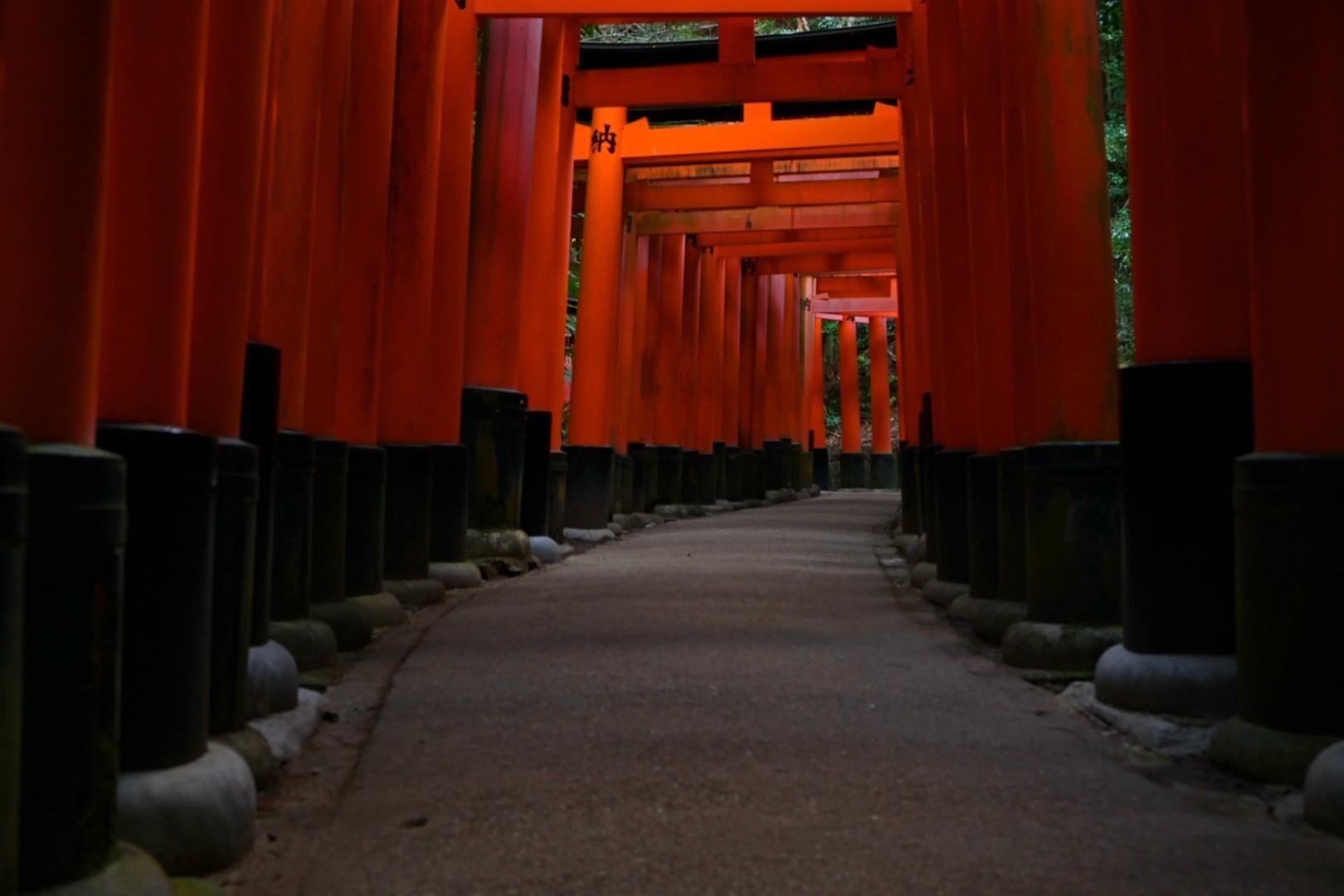 稲荷山・今熊野山・清閑寺山・清水山・東山 / taroさんの京都一周トレイルの活動データ | YAMAP / ヤマップ