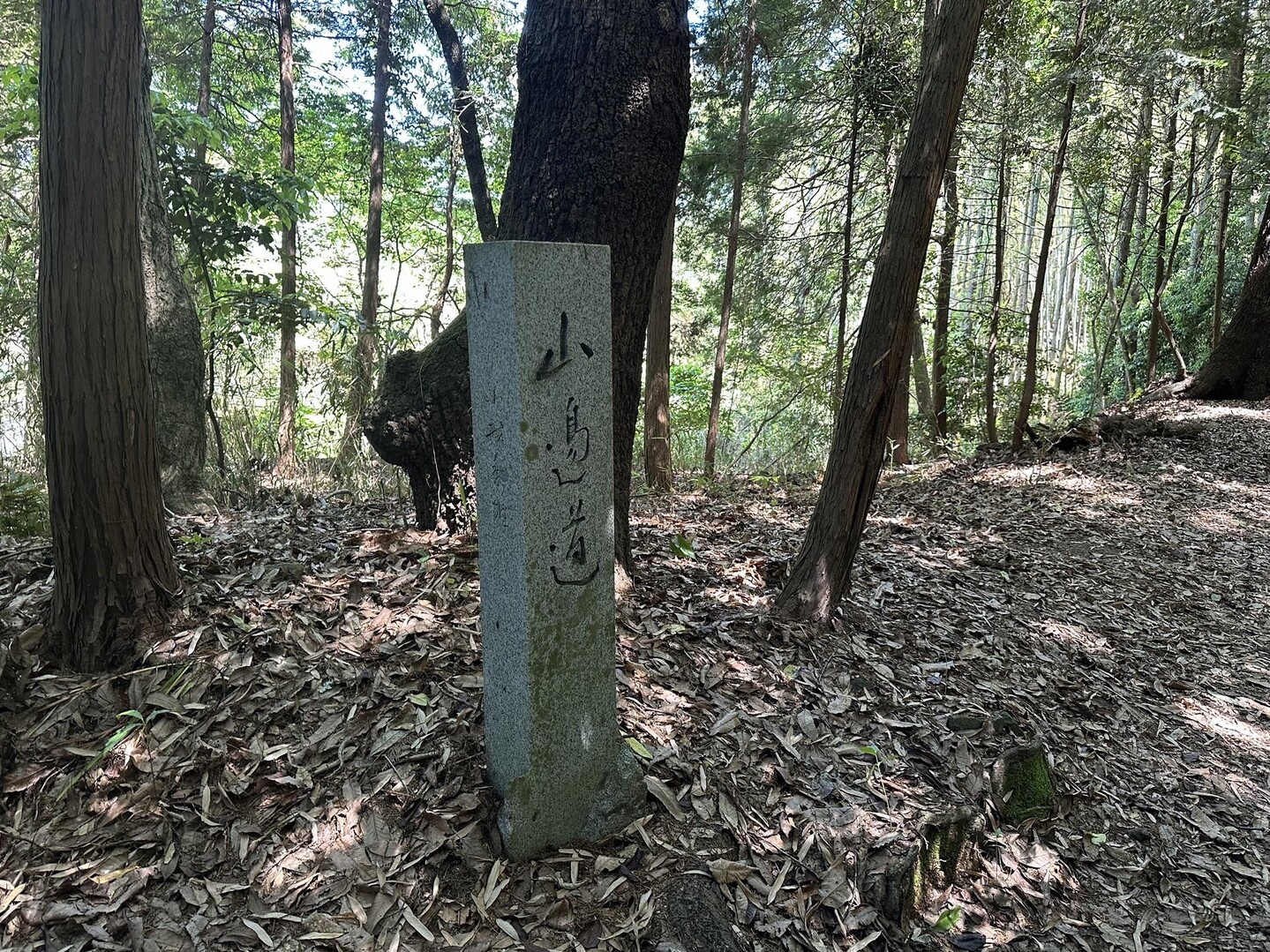 山辺の道1日目 / Konchanさんのウォーキングの活動日記 | YAMAP / ヤマップ