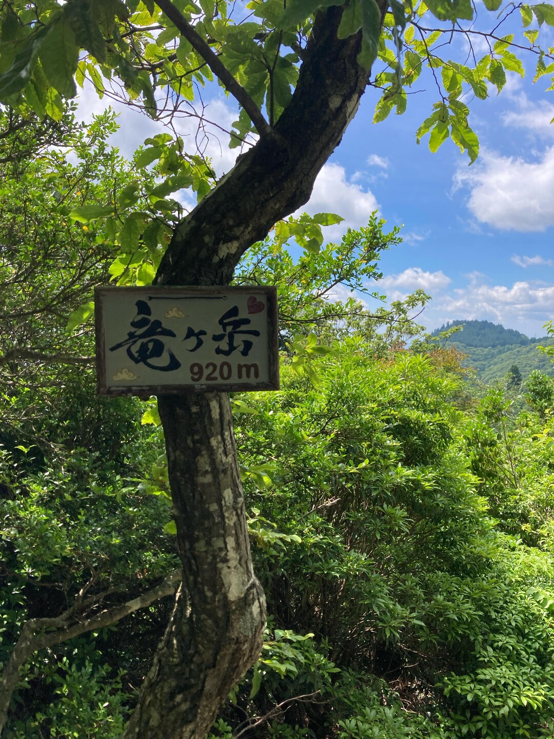 梨の木谷から竜ヶ岳 / eijiさんの愛宕山・三頭山・朝日峯の活動データ | YAMAP / ヤマップ