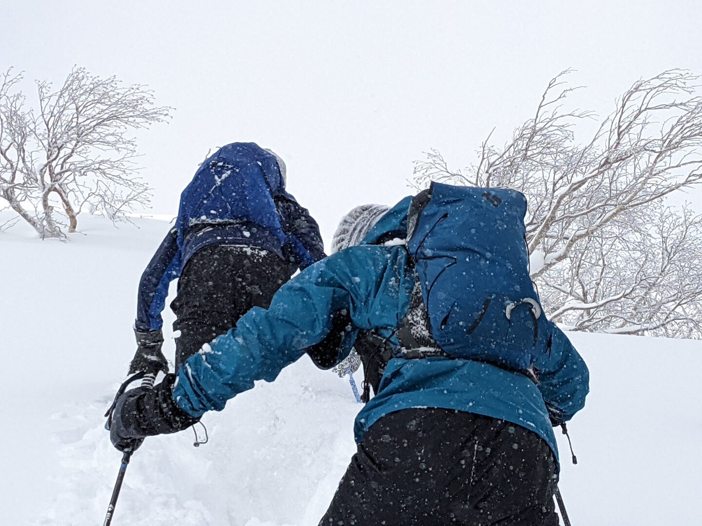 漁岳 島RCトレPart1 / Atsushi.Sさんの漁岳の活動日記 | YAMAP / ヤマップ