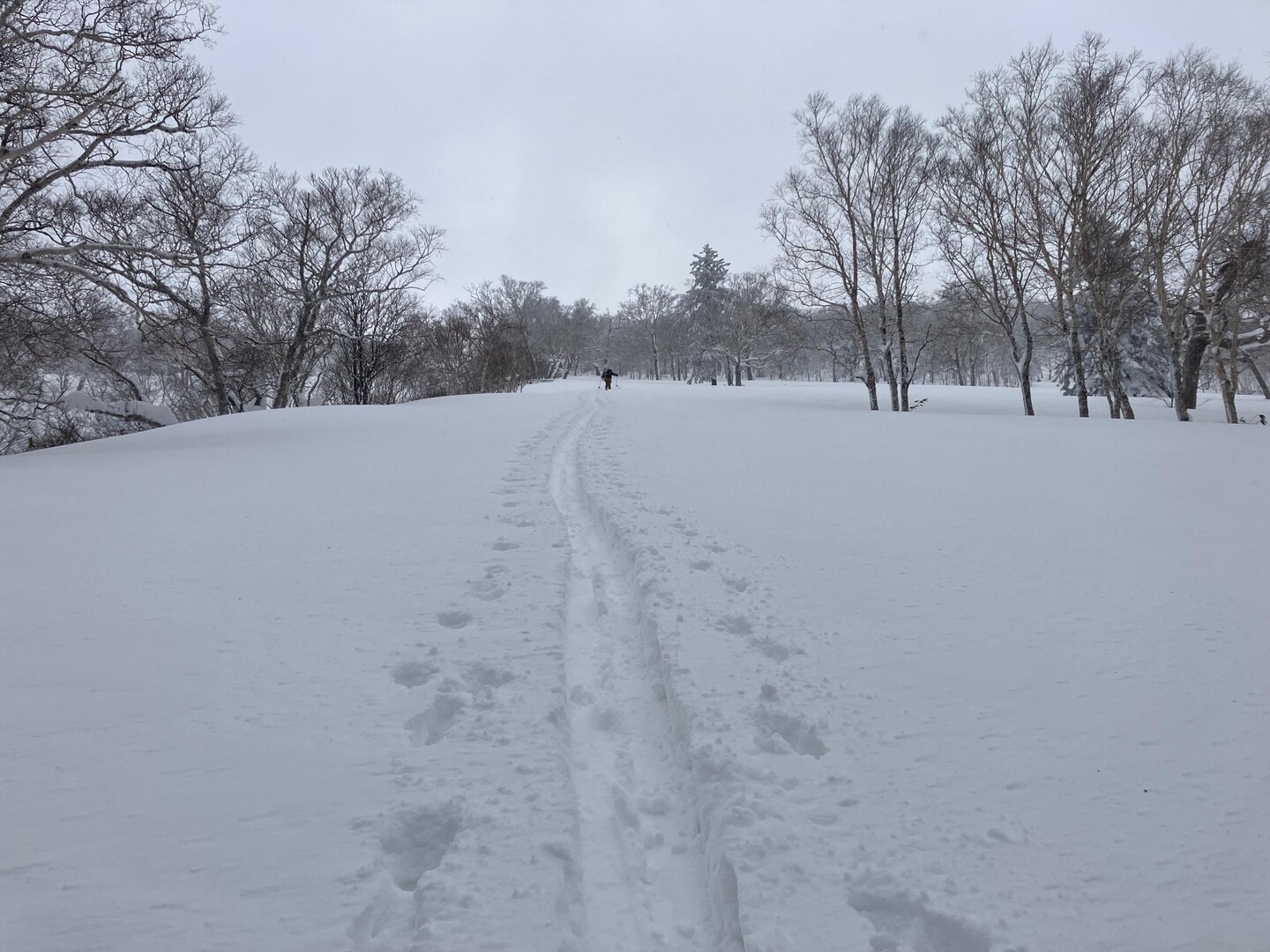 滑り納めは羊蹄さま / TKOさんの羊蹄山（蝦夷富士）の活動データ | YAMAP / ヤマップ