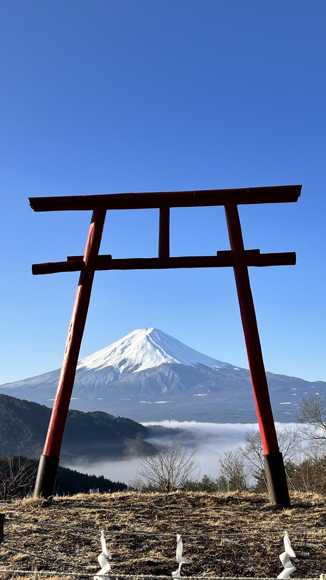 三ッ峠山（開運山） / wak-kunさんの三ッ峠山・本社ヶ丸・鶴ヶ鳥屋山の活動データ | YAMAP / ヤマップ