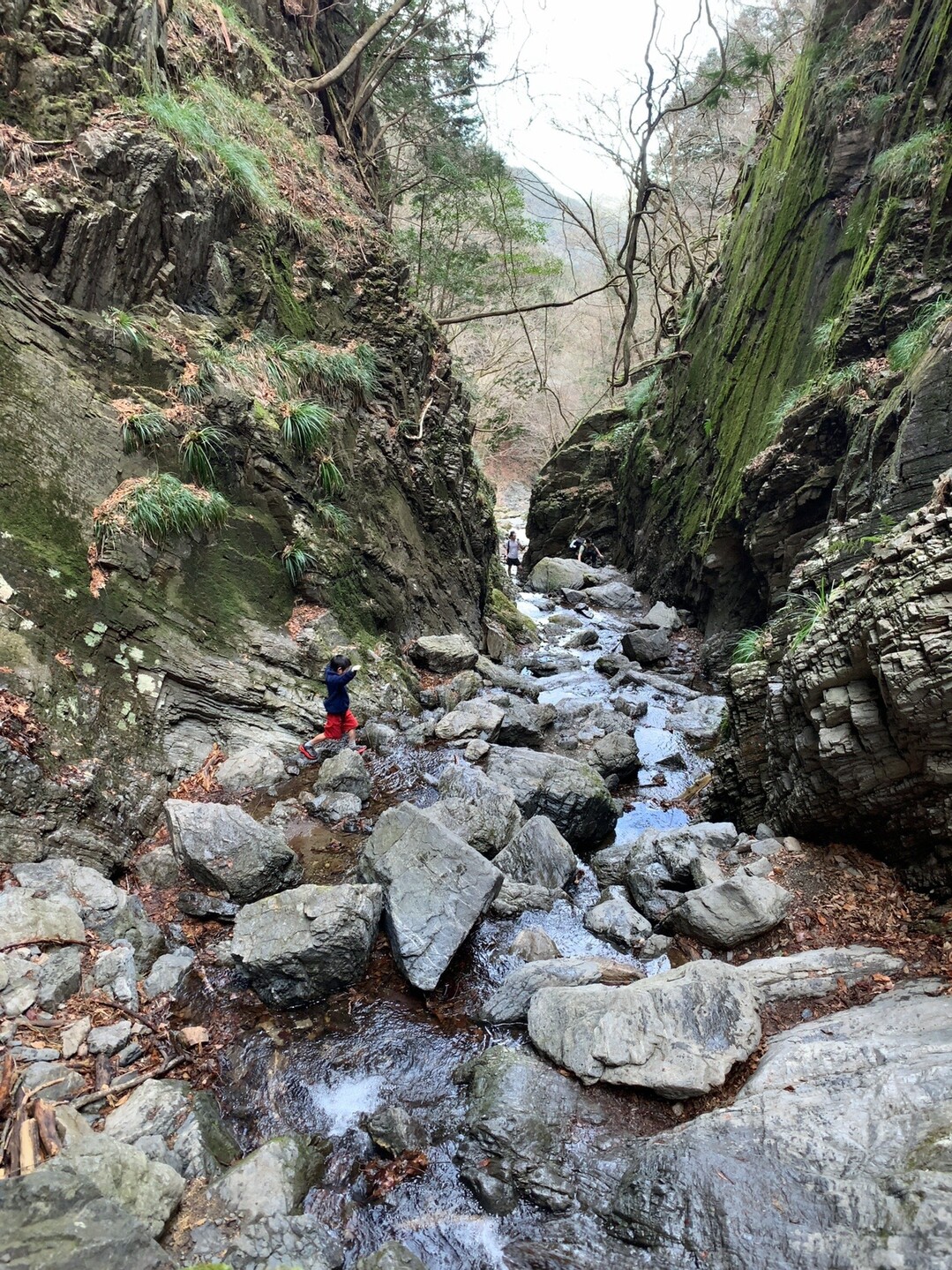 岩茸石山・棒ノ嶺（沢井駅〜さわらびの湯） / 山と飯 U.L.HIKEさんの高水山・岩茸石山・惣岳山の活動データ | YAMAP / ヤマップ