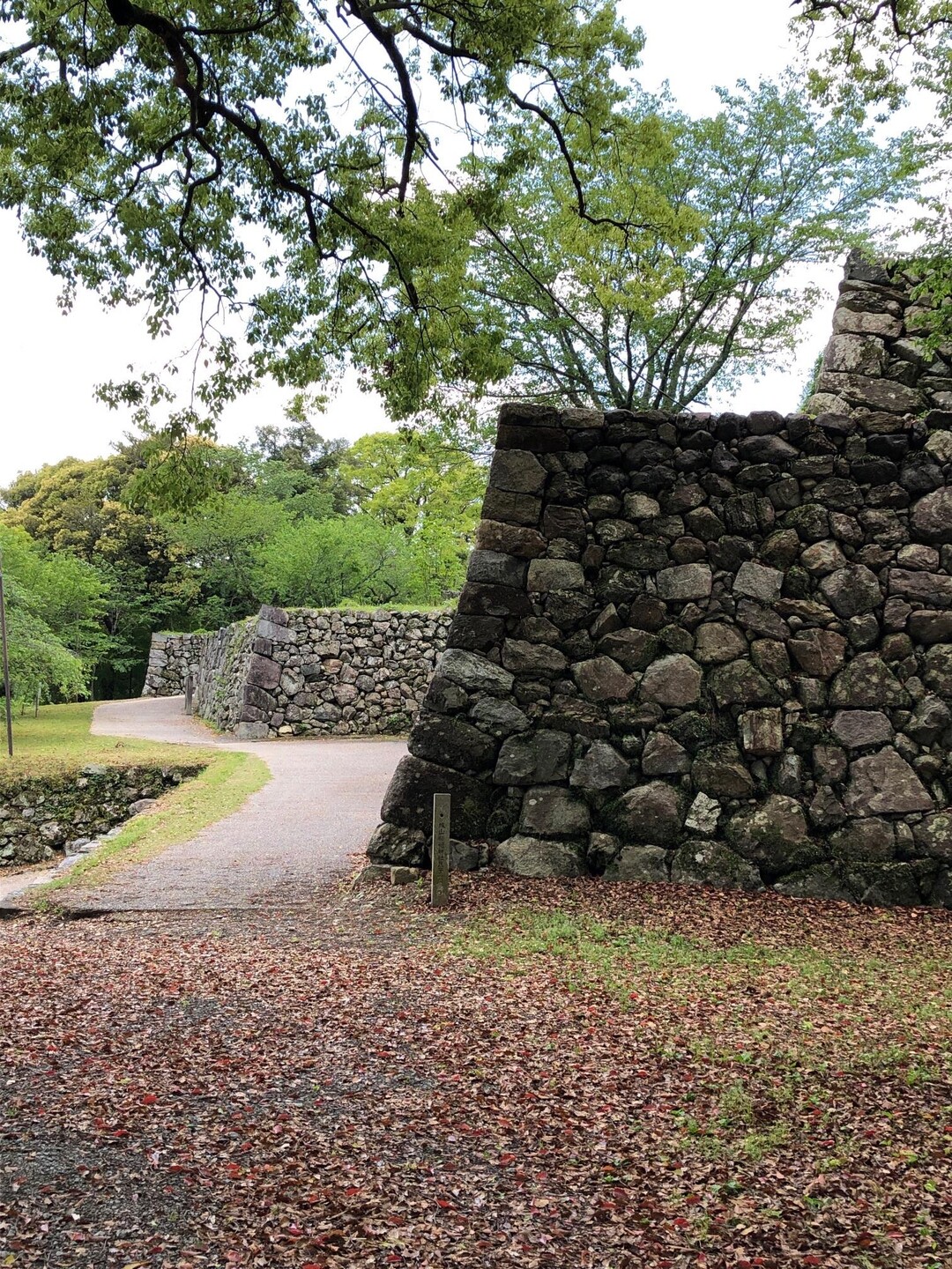 玉丸山 51.4m (低山巡り) 三重 玉城町 / isisさんの伊勢本街道（御杖村岩坂峠～玉城町田丸）の活動日記 | YAMAP / ヤマップ
