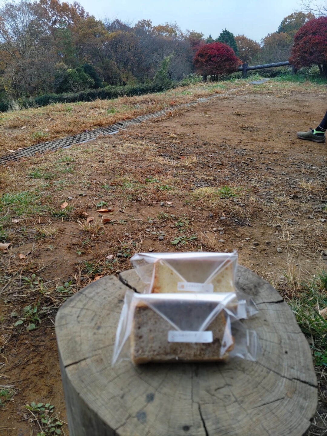 筑波山から下りて 山おやつ😋 シフォン... / kayoさんのモーメント | YAMAP / ヤマップ