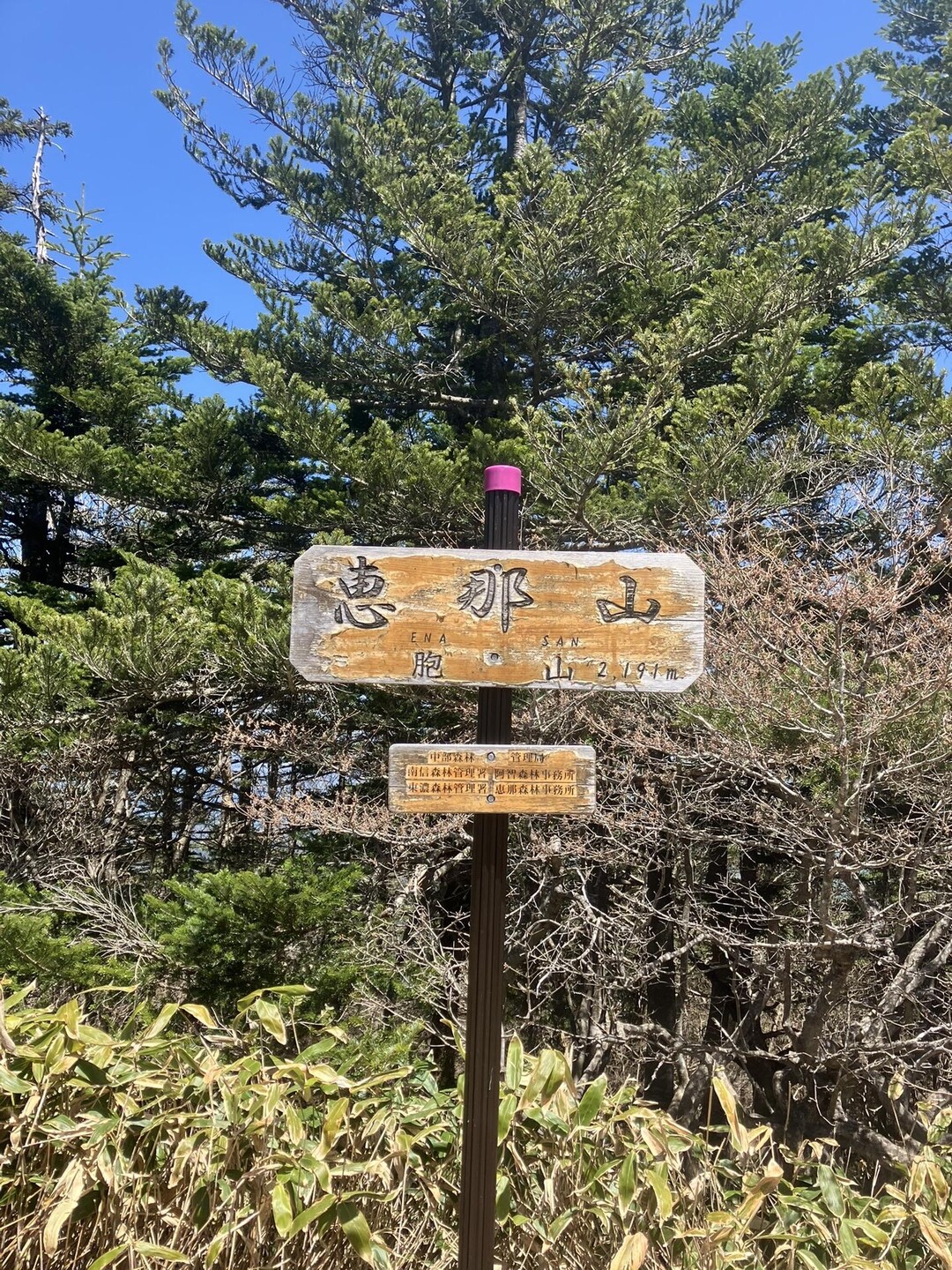 千両山・大判山・恵那山 / Yossyさんの恵那山・大判山・神坂山の活動データ | YAMAP / ヤマップ