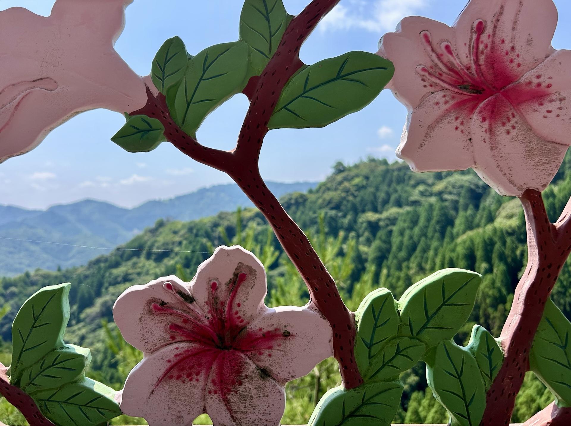 今年も咲いているかな((´∀`*)) 御嶽山・エビラ山 / datinさんの御嶽山の活動データ | YAMAP / ヤマップ