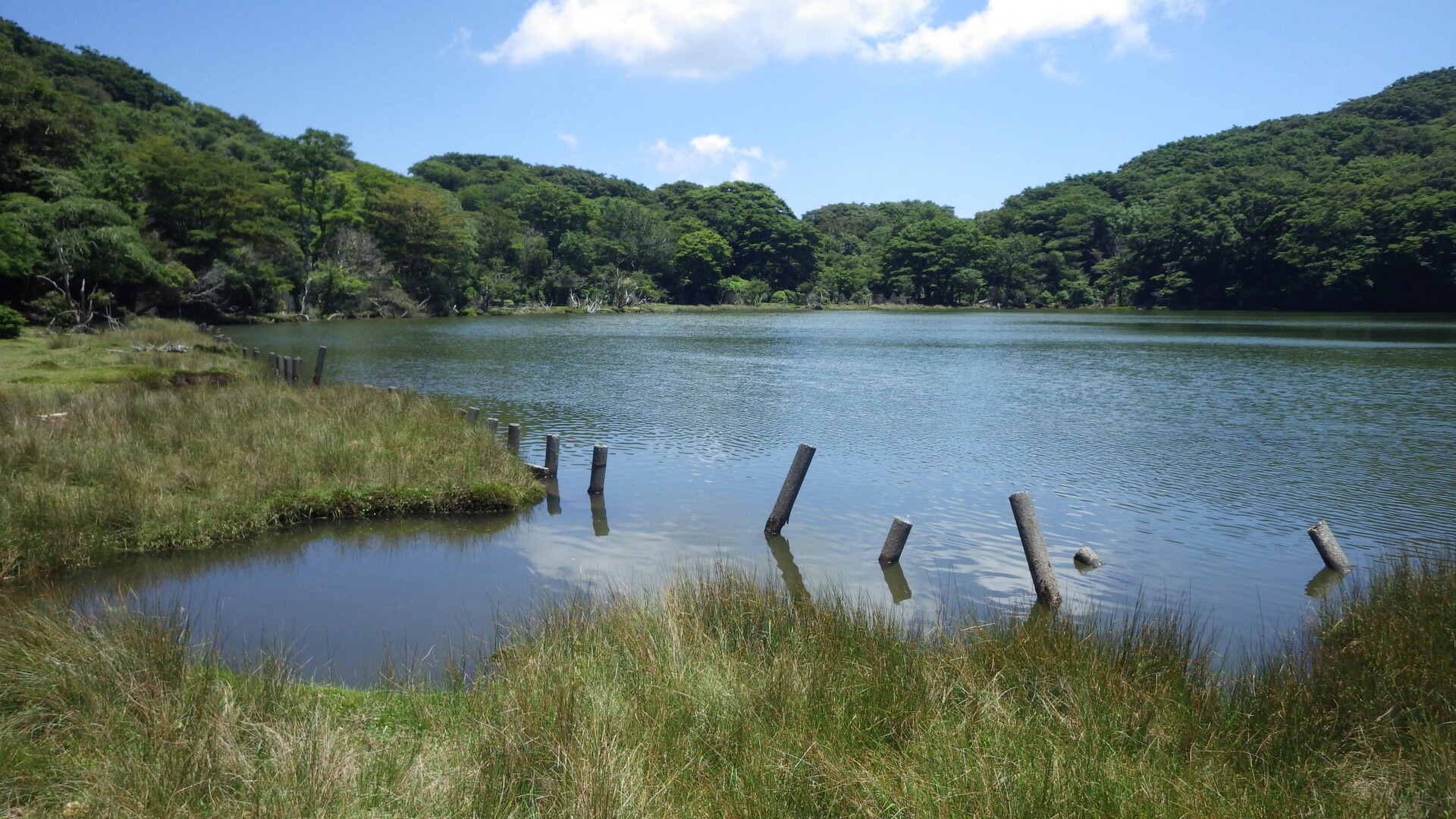 伊豆・天城·八丁池Trekking / Tana.Shinchanさんの天城山・鉢ノ山・三筋山の活動データ | YAMAP / ヤマップ