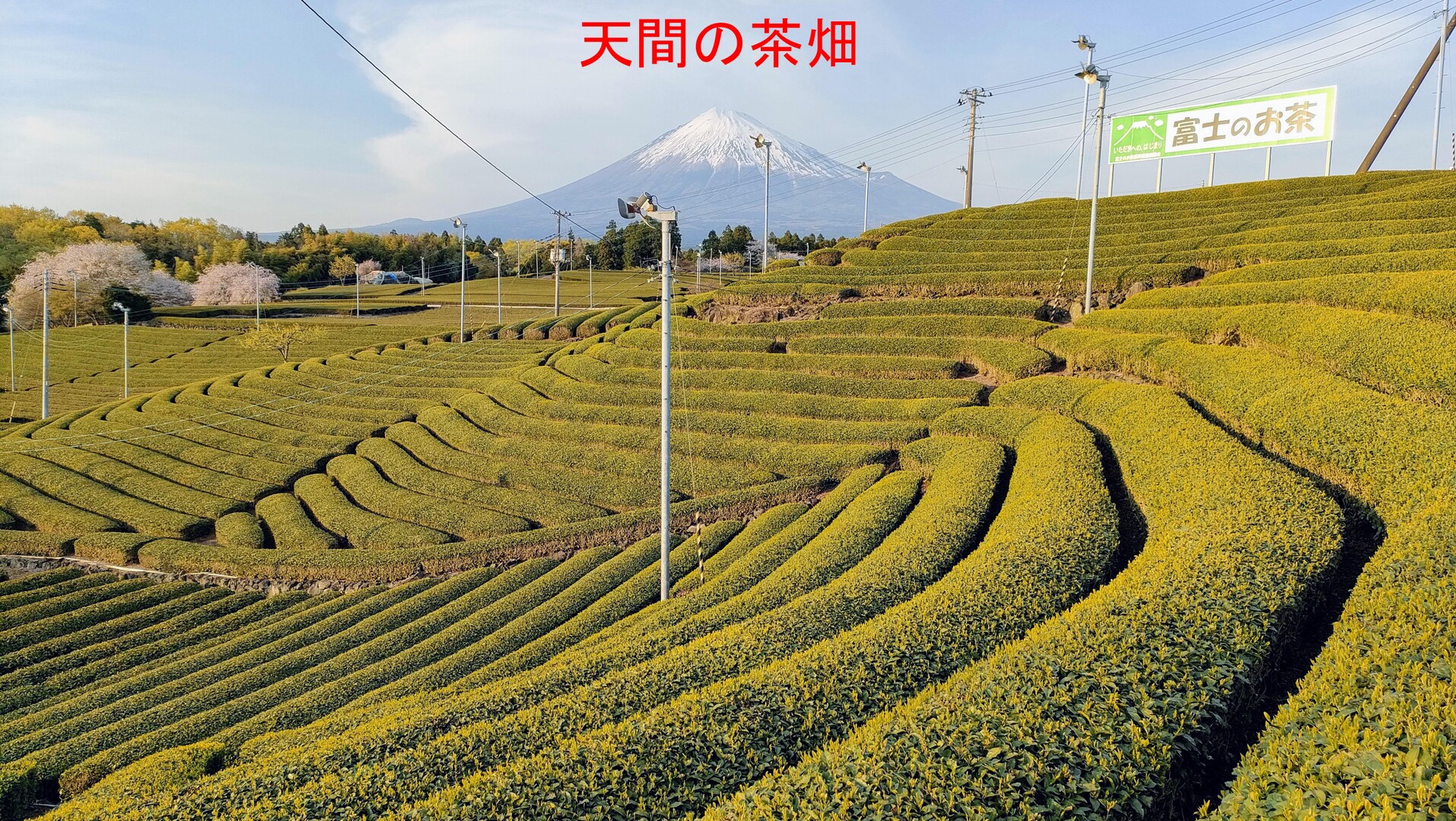 【富士山ぽ！】 2023/4/4（火） ... / kunsanさんのモーメント | YAMAP / ヤマップ