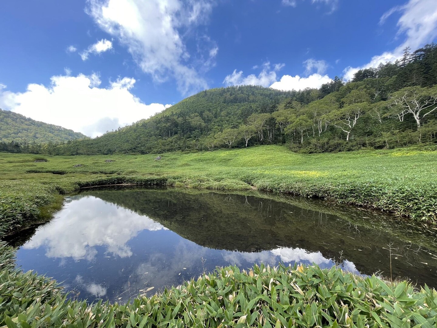 黒姫山 / sawaさんの黒姫山の活動日記 | YAMAP / ヤマップ