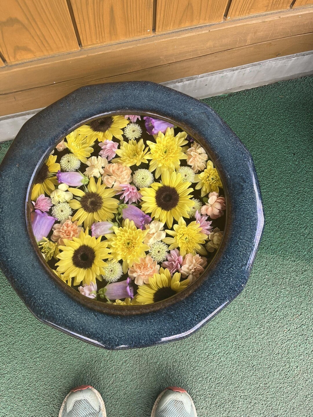 FunTrails Round 秩父＆奥武蔵30K / mooさんのトレイルランニングの活動日記 | YAMAP / ヤマップ