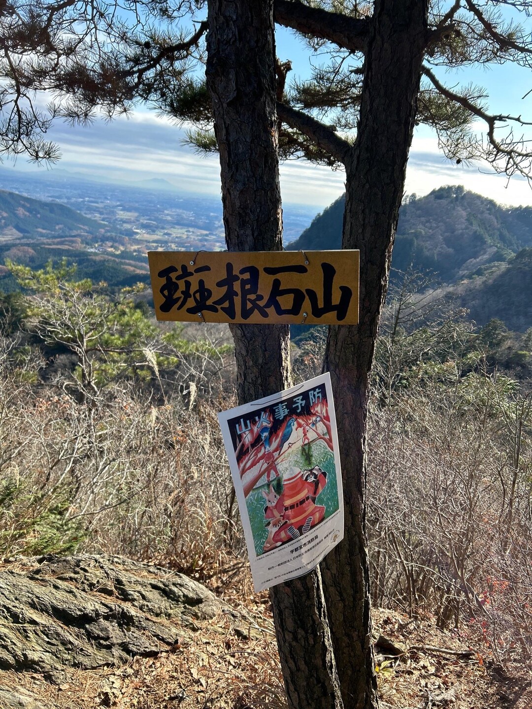 yuu39さんの投稿したフィールドメモ | YAMAP / ヤマップ