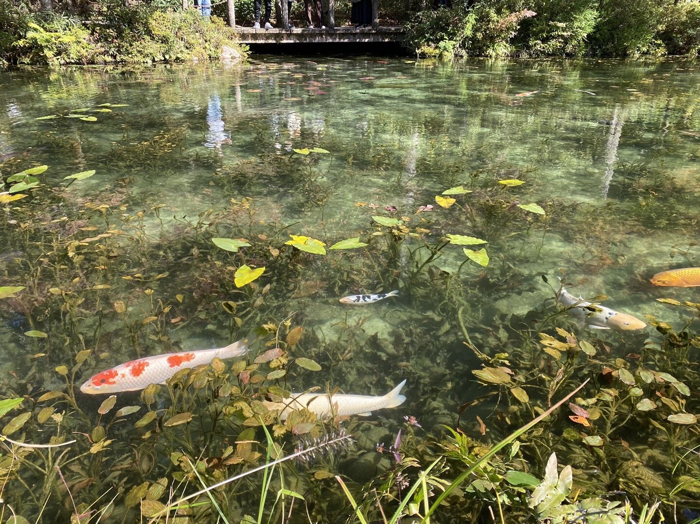 先週末には自宅に帰り、地元なのに今まで行... / TA-oneさんのモーメント | YAMAP / ヤマップ