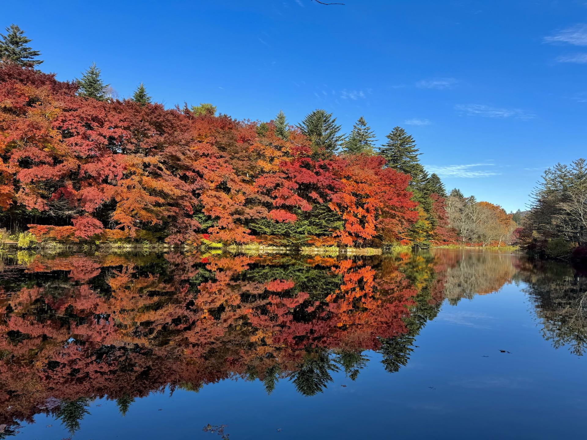 軽井沢駅から横川駅まで旧中山道を歩く nurse登山部 -2024-11-12 / volcomさんの鼻曲山・氷妻山・留夫山の活動データ | YAMAP / ヤマップ