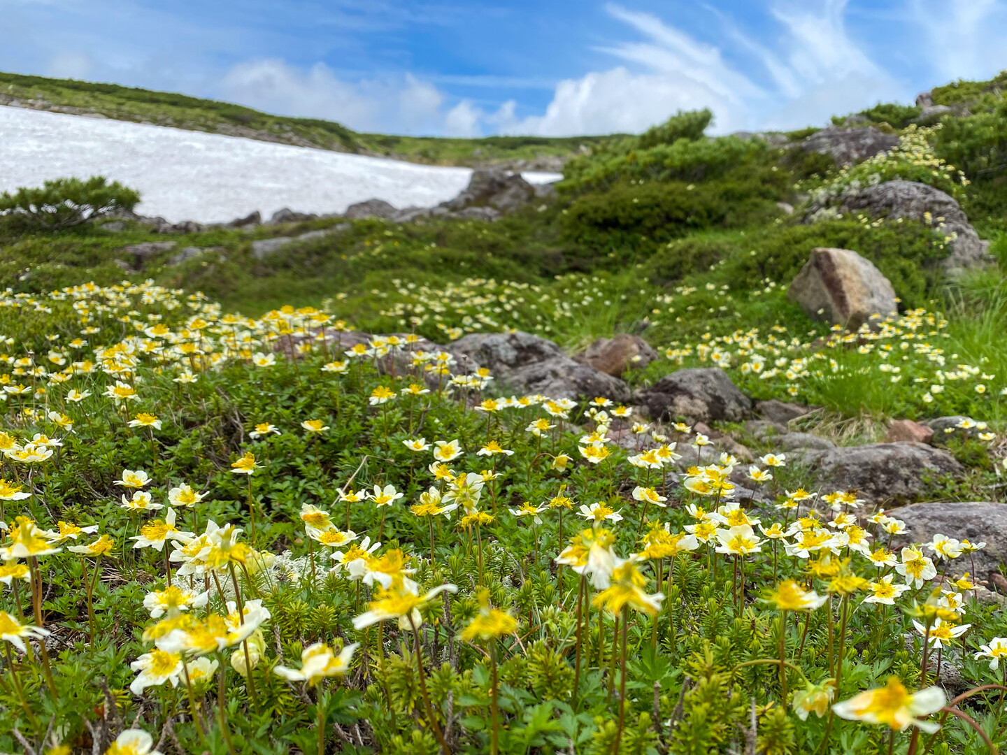 7月19〜22日、裏銀座縦走の思い出、高... / COOBA / こーばさんのモーメント | YAMAP / ヤマップ