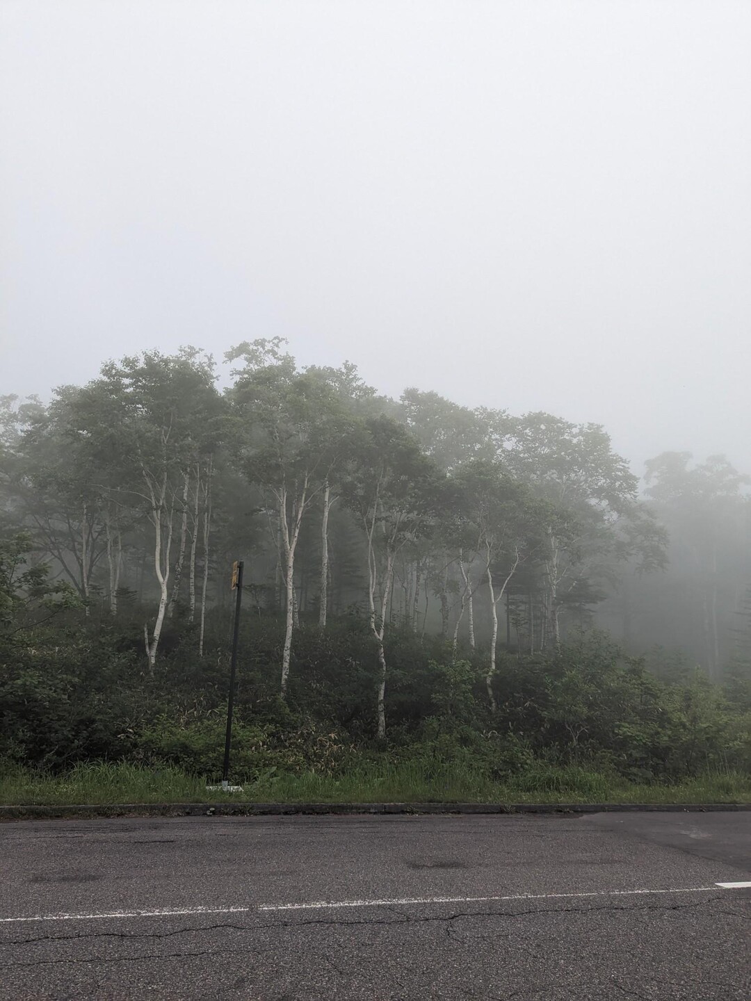 今日は登るのやめようと決めたら晴れ間出て... / doaraさんのモーメント | YAMAP / ヤマップ