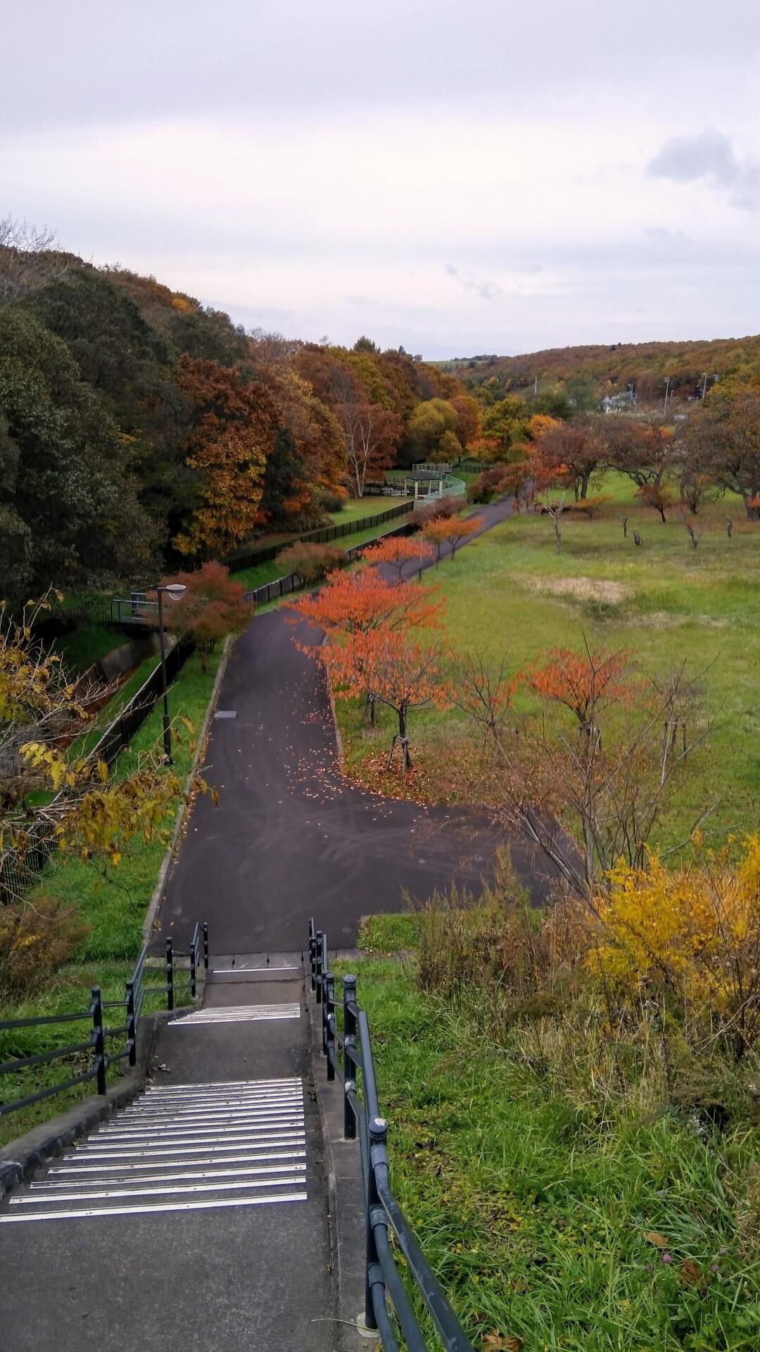 Guestのページ | YAMAP / ヤマップ