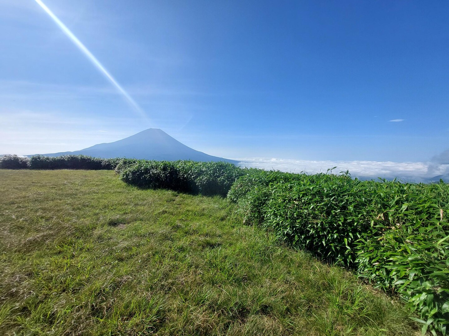 20230716 竜ヶ岳 / sasaさんの毛無山・雨ヶ岳・竜ヶ岳の活動データ | YAMAP / ヤマップ