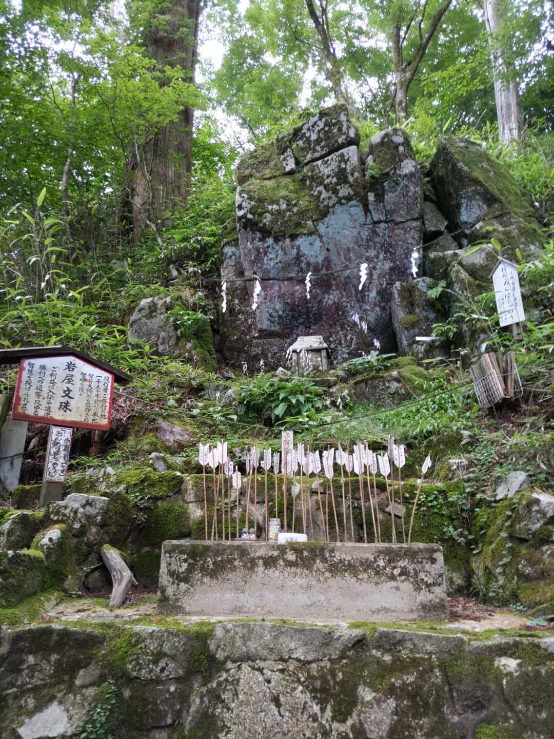 金剛山 寺谷ルート / T64さんの金剛山・二上山・大和葛城山の活動データ | YAMAP / ヤマップ