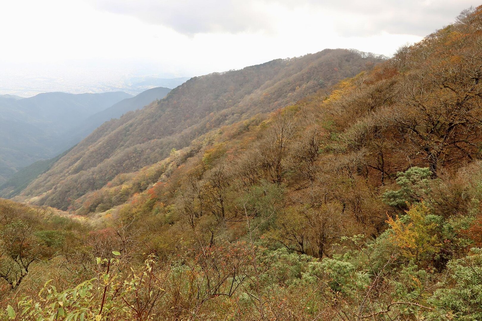 表尾根から登る 錦秋の塔ノ岳 / heeさんの塔ノ岳・丹沢山・蛭ヶ岳の活動日記 | YAMAP / ヤマップ
