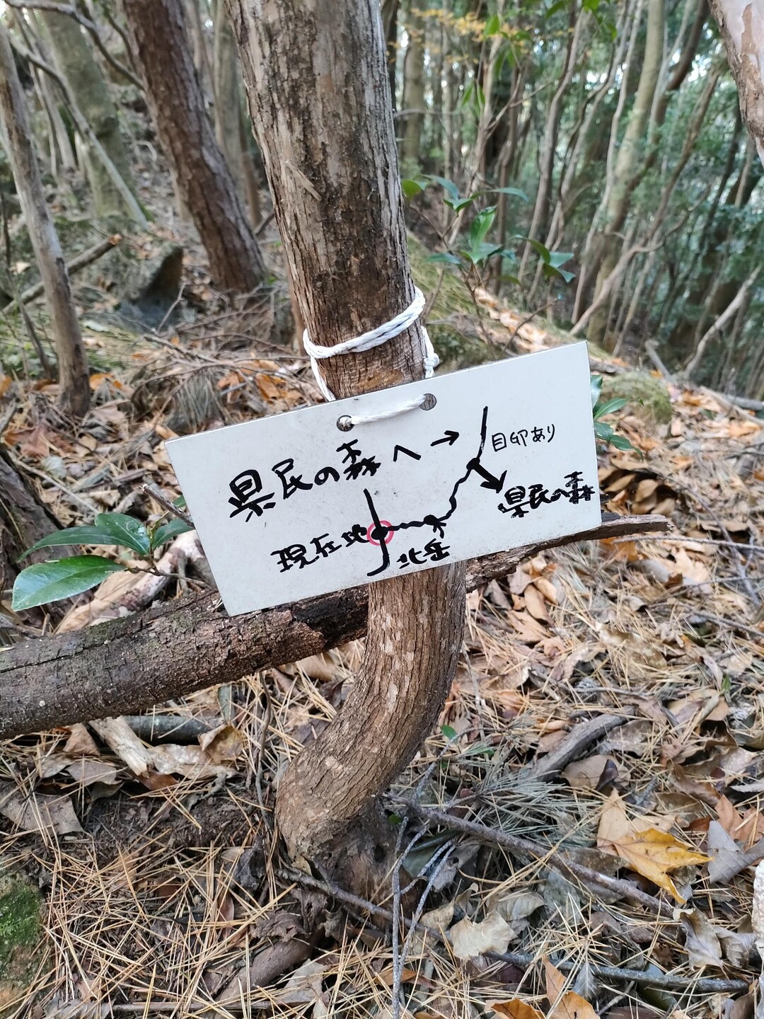 you1 さんの投稿したフィールドメモ | YAMAP / ヤマップ