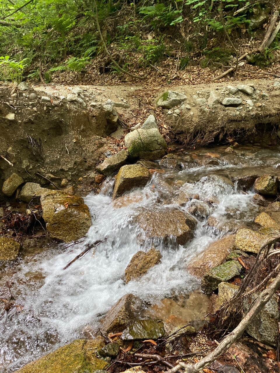 Shin5さんの投稿したフィールドメモ | YAMAP / ヤマップ