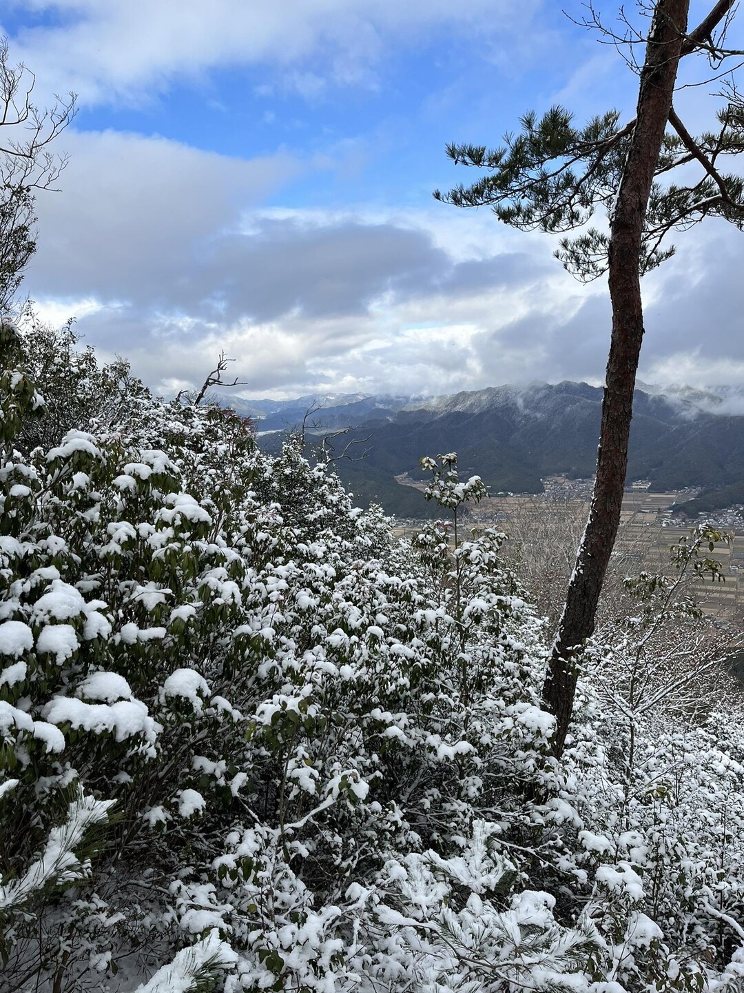 向山連山 / taeさんの向山・清水山の活動データ | YAMAP / ヤマップ