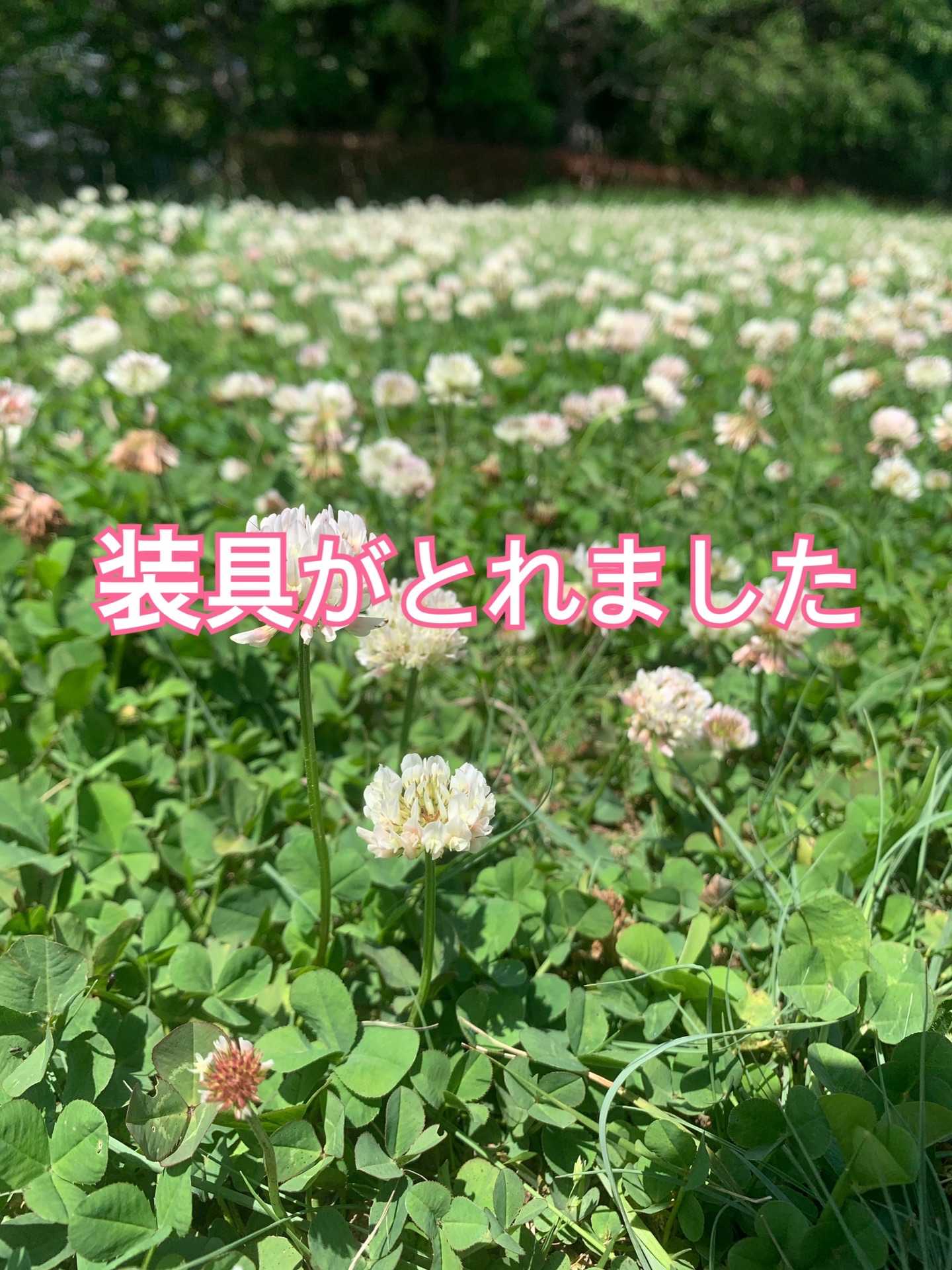 3分47秒ください･･･♥️ http... / さちこさんのモーメント | YAMAP / ヤマップ