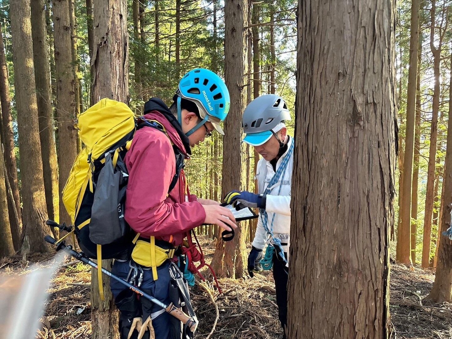 🎓四阿屋山（秩父）お勉強に出かける🎓 / Keiさんの四阿屋山の活動データ | YAMAP / ヤマップ