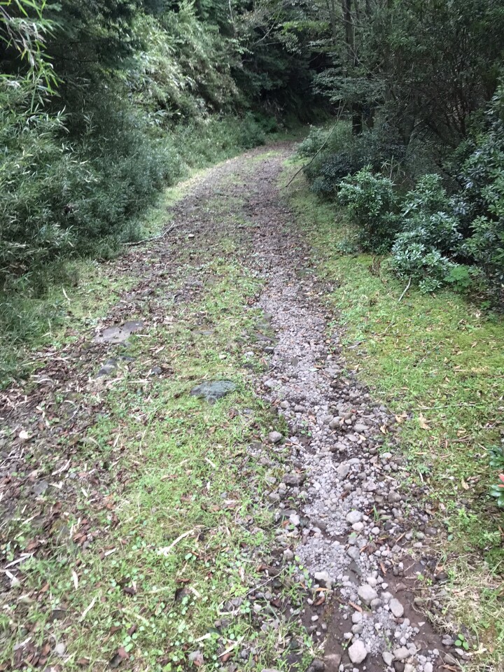 愛鷹山 往復コースの地図・登山ルート・登山口情報 | YAMAP / ヤマップ