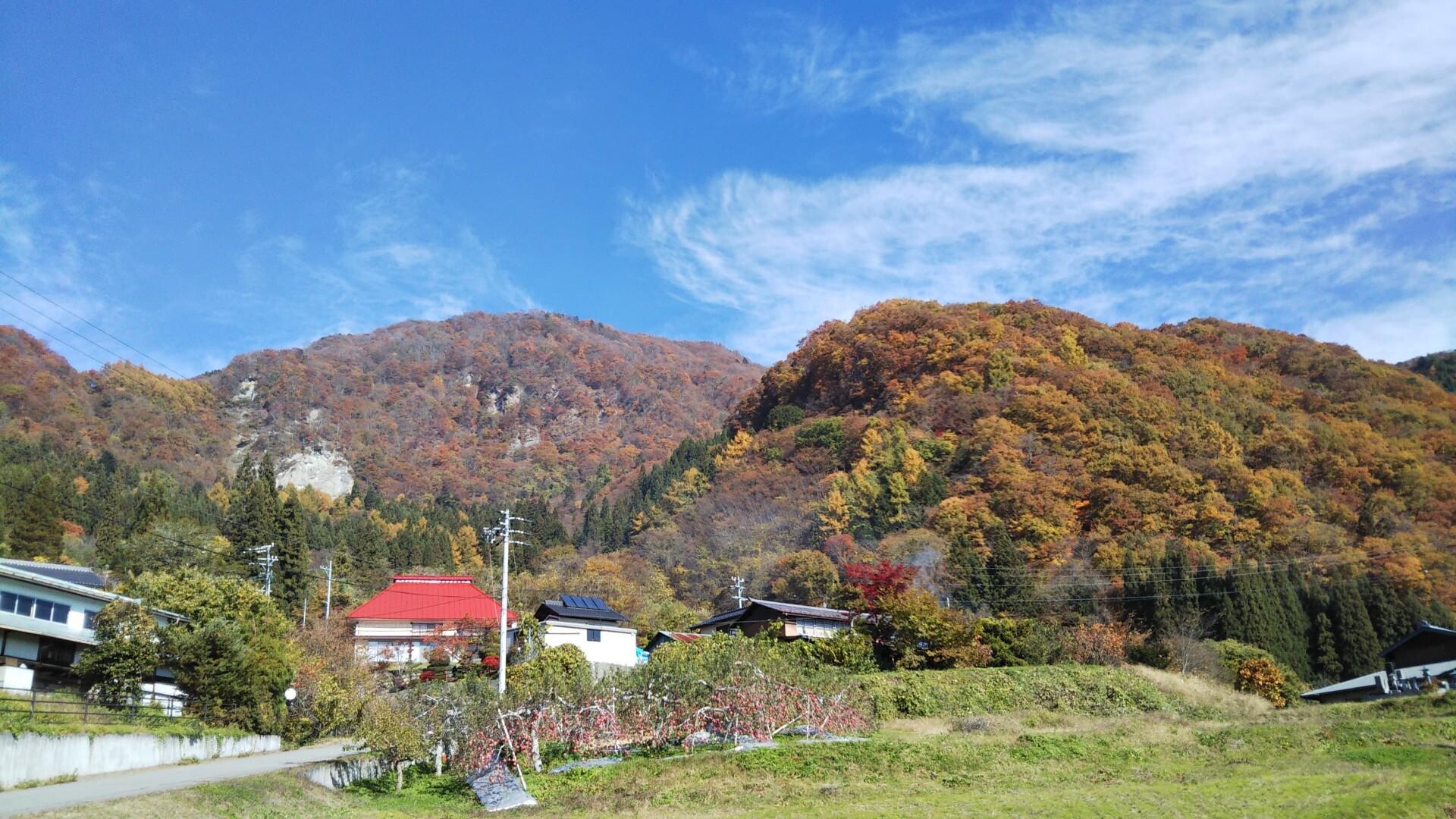 虫倉山22.11.7 / かっぱっぱさんの砂鉢山・虫倉山の活動データ | YAMAP / ヤマップ