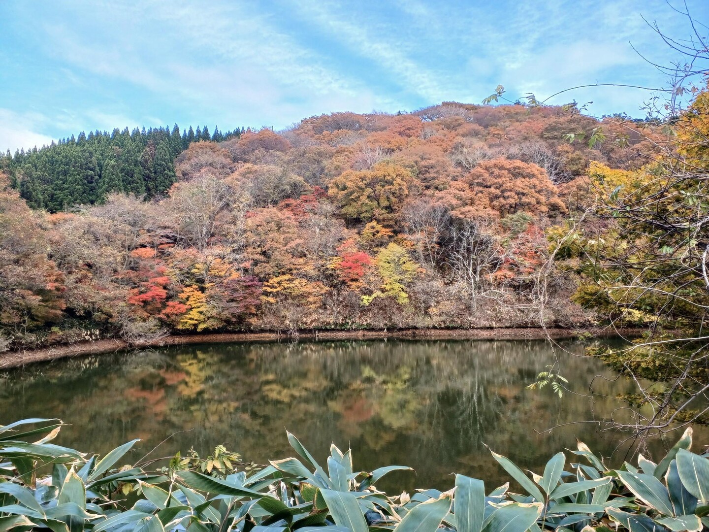 宝達山 / hanabuさんの宝達山の活動データ | YAMAP / ヤマップ
