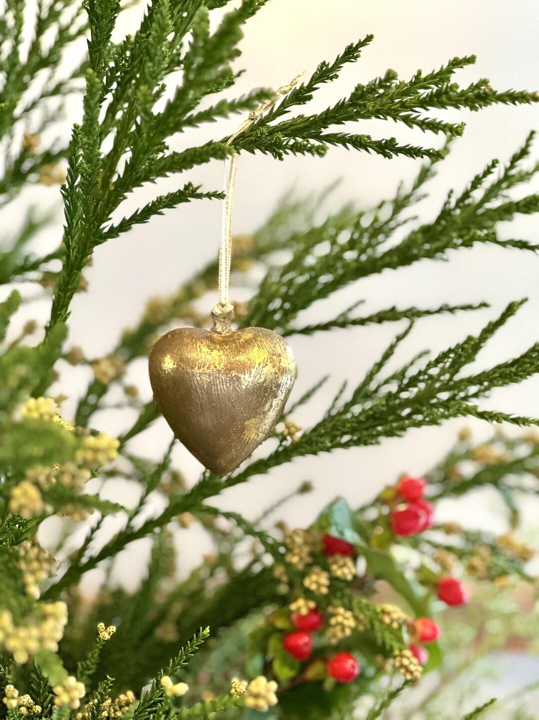 Merry Xmas🎄🎅 ️ ⁡クリ... / マミタスさんのモーメント | YAMAP / ヤマップ