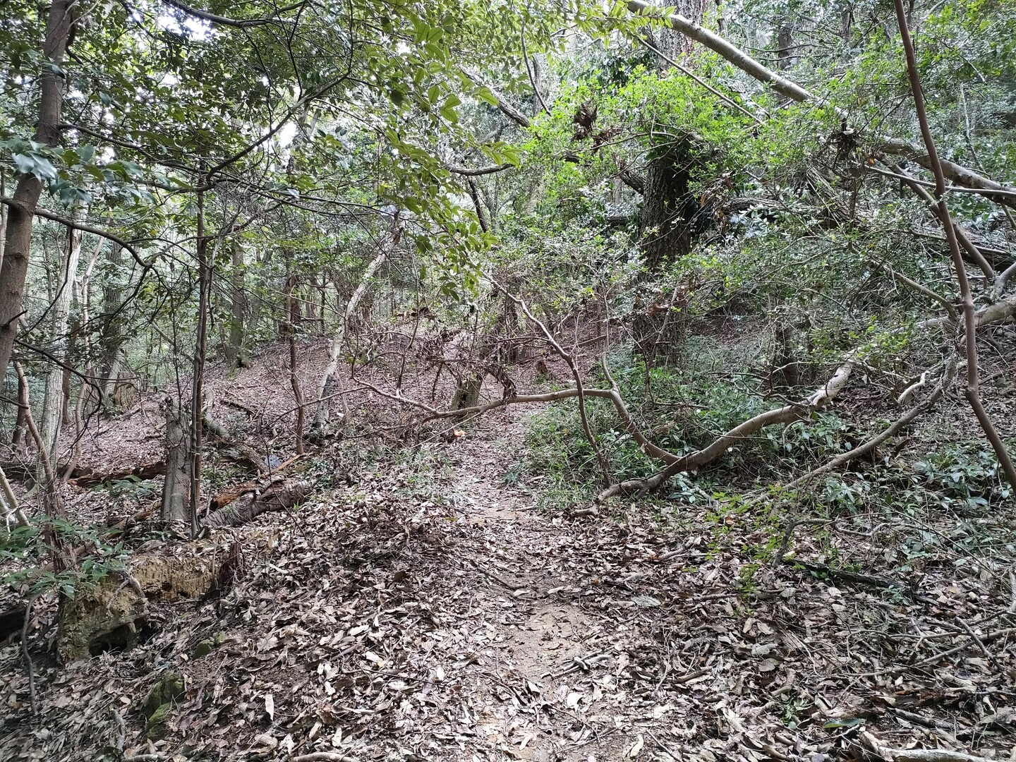 you1 さんの投稿したフィールドメモ | YAMAP / ヤマップ