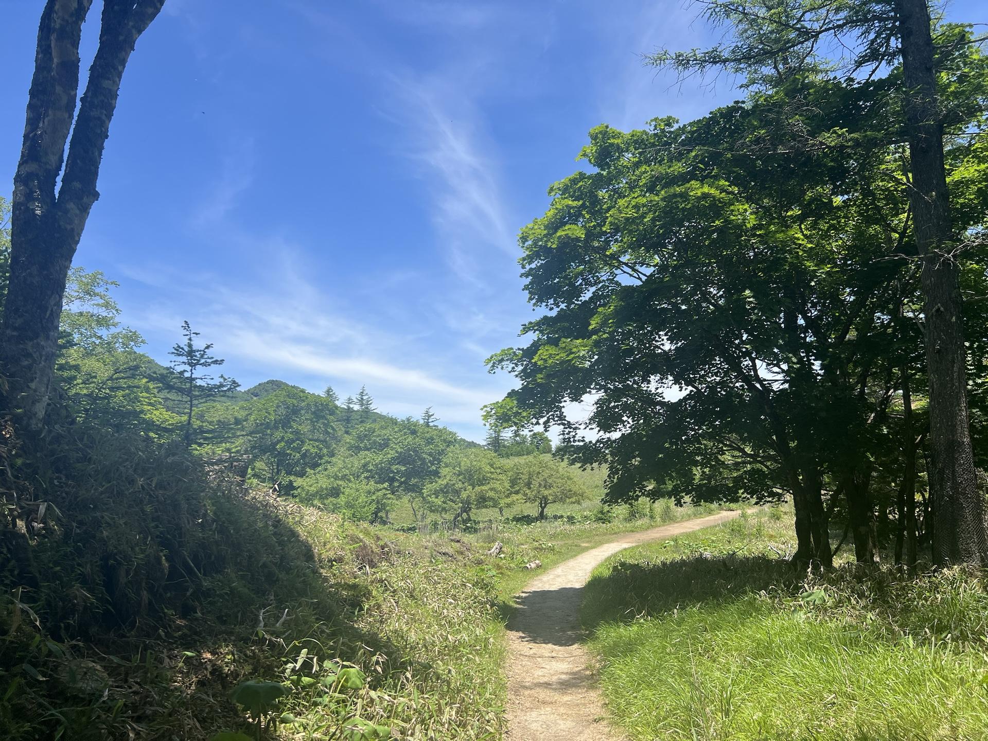 笠取山 / noncha_31さんの和名倉山・笠取山・東仙波の活動データ | YAMAP / ヤマップ