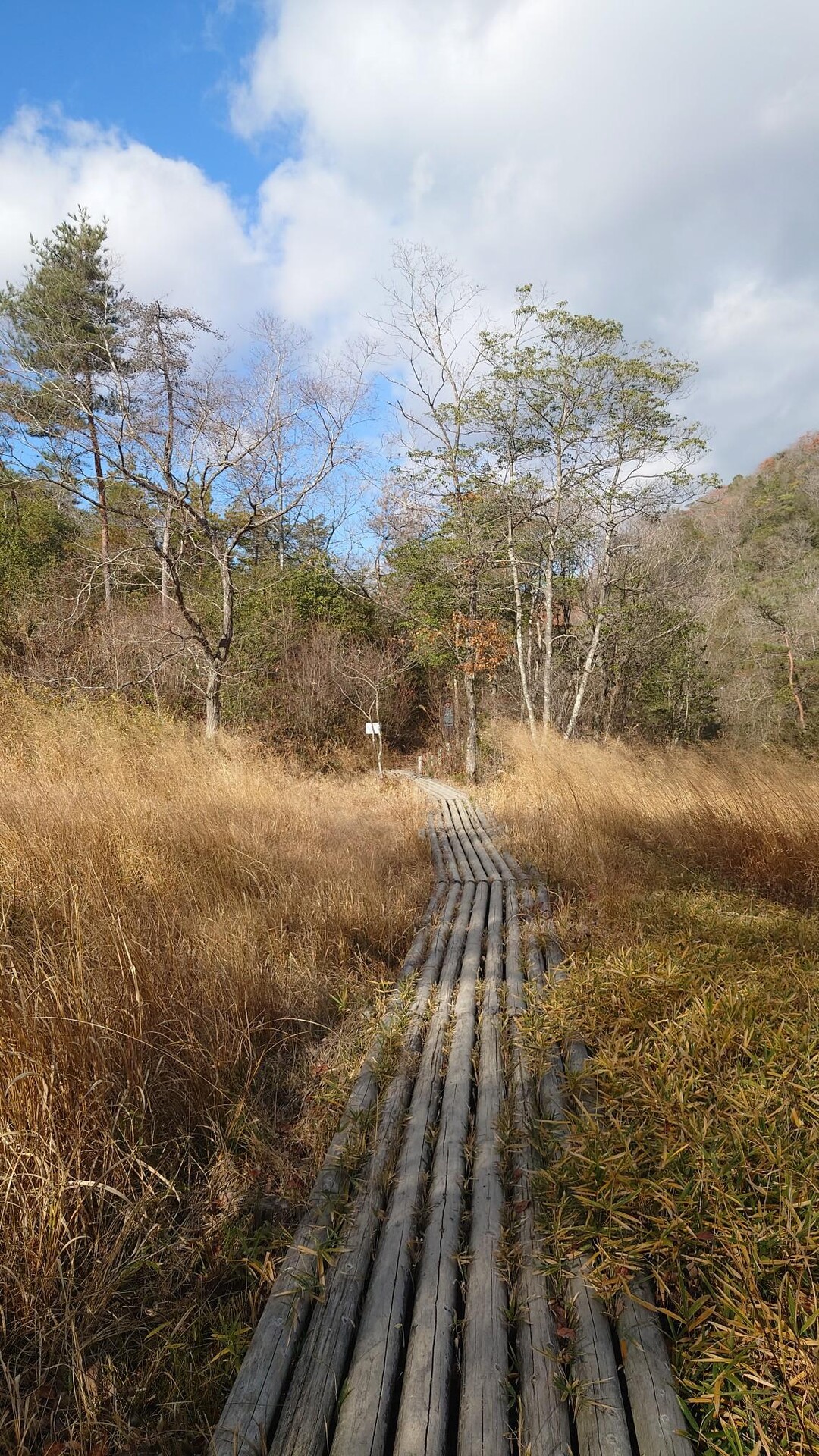 大岩ヶ岳・東大岩ヶ岳 / keyさんの大岩ヶ岳の活動データ | YAMAP / ヤマップ